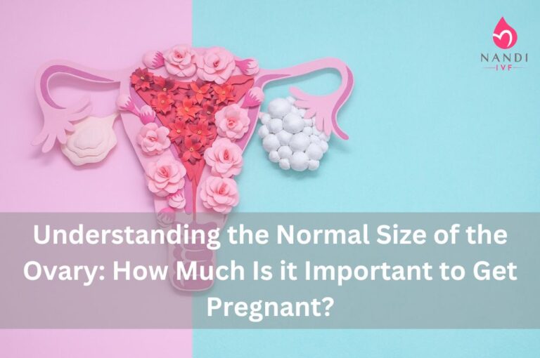 Understanding the Normal Size of the Ovary: How Much Is it Important to ...