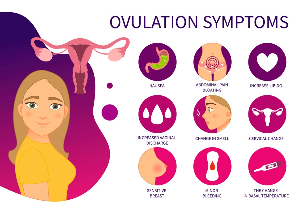 How to Tell Ovulation Is Over – End of Fertile Window | Nandi IVF ...