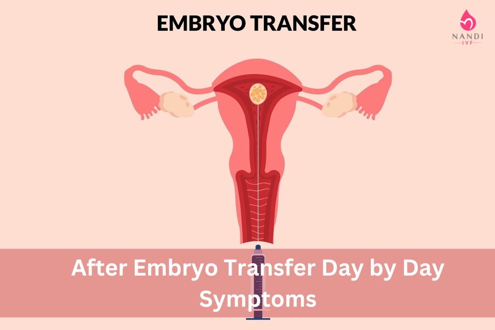 Can Implantation Bleeding Happen At 12 Weeks Embryo Transfer Can Implantation Bleeding Happen At 12 Weeks Embryo Transfer