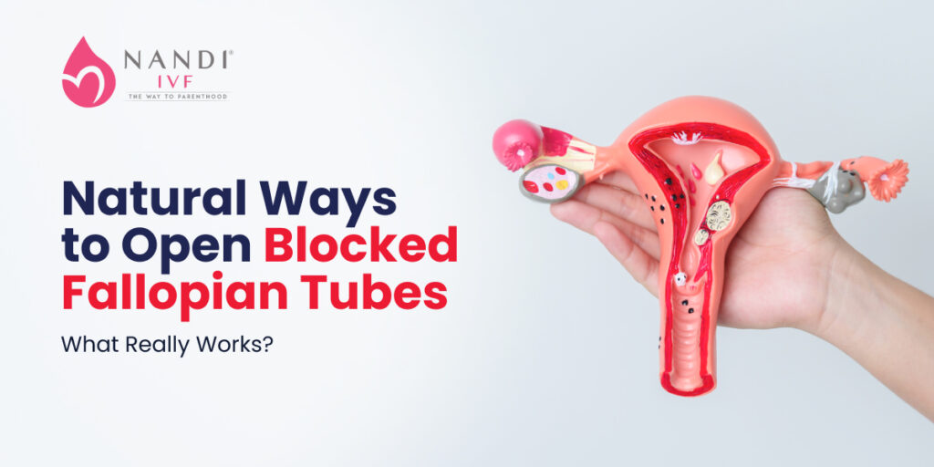 Blocked Fallopian Tubes? Discover Natural Remedies | Nandi IVF